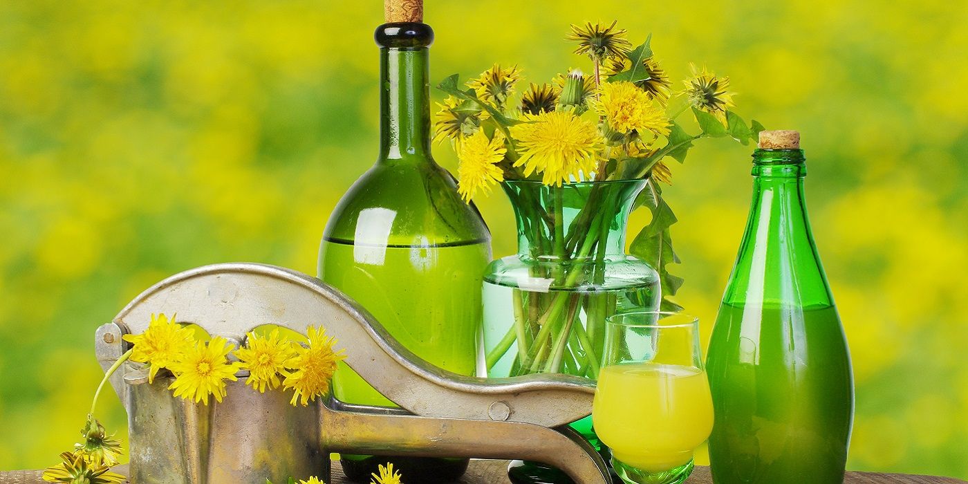 6 Creative Ways to Utilize Dandelions from Your Yard