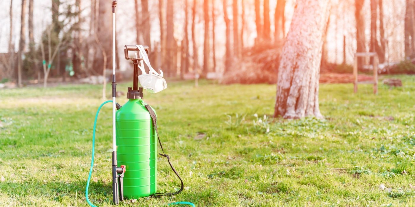 Reclaiming Your Lawn: 7 Strategies for Dealing with Exposed Tree Roots