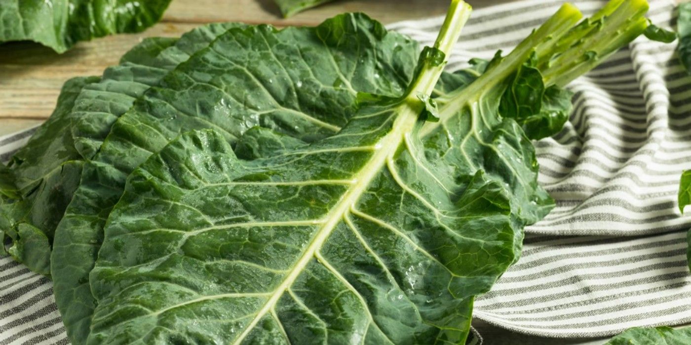 How to Store Homegrown Fruits and Vegetables: 5 Hacks to Maintain Freshness