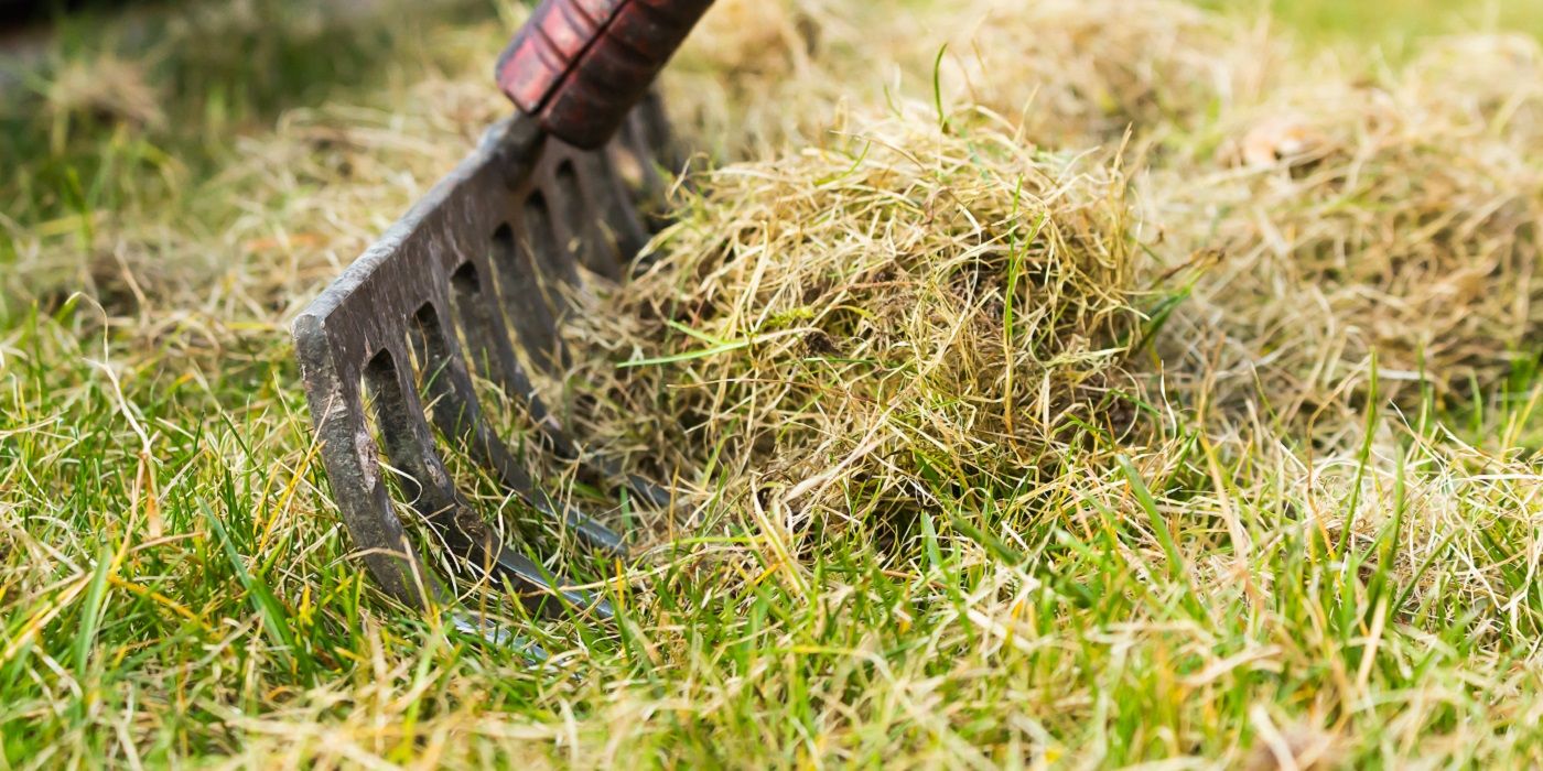 5 Must-Do Yard Clean Up Activities For Spring