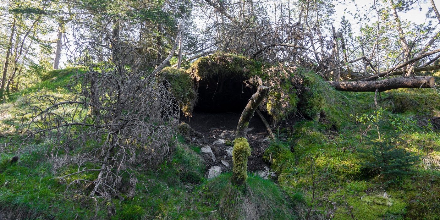 How to Grow Captivating Fairy Tale Landscapes