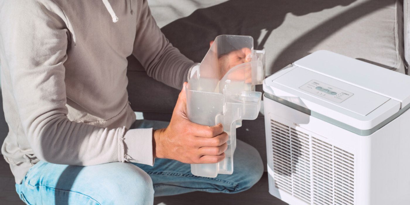 5 Ways to Recycle Water and Hydrate Your Plants