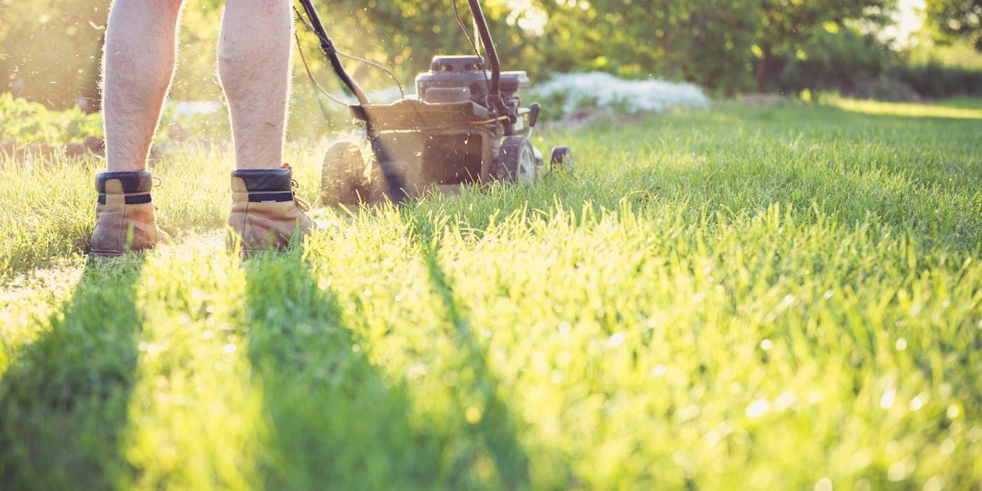 Tasks for a Beautiful Front Yard: Landscape Ideas, Tips, and More!