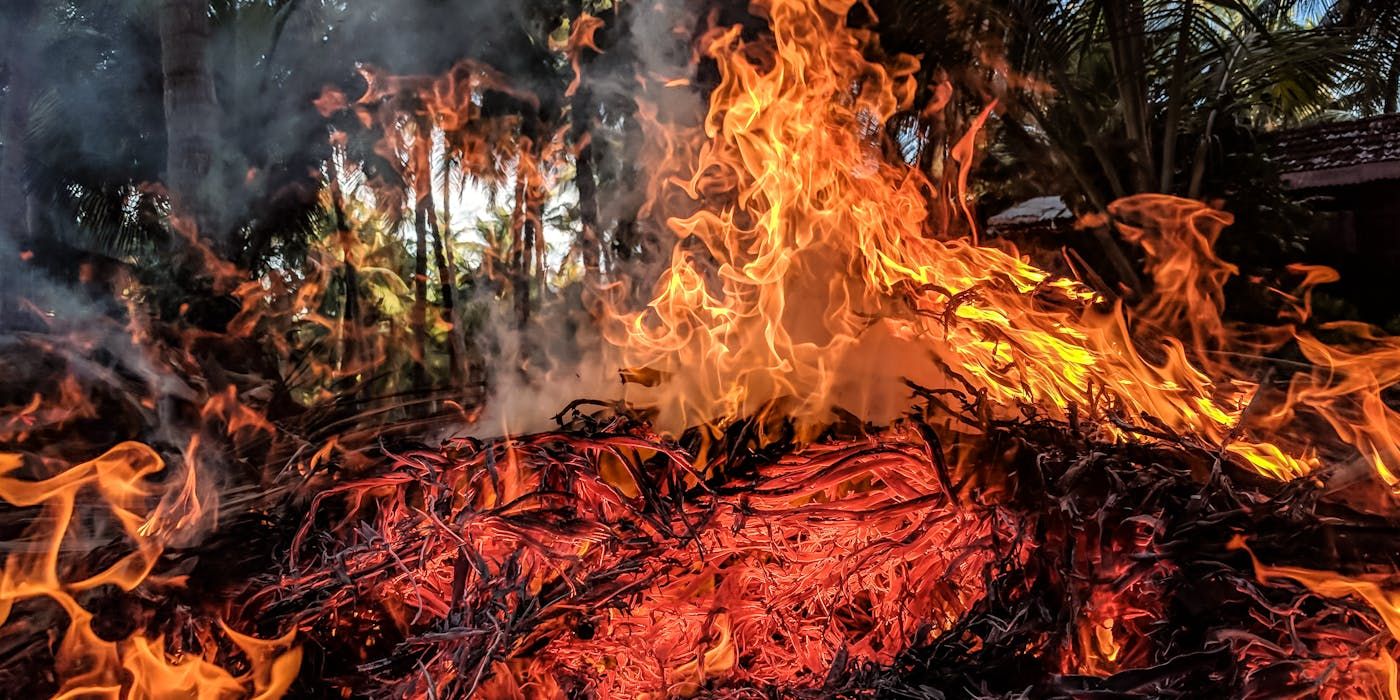 A Complete Guide to Safely Burning Tree Branches