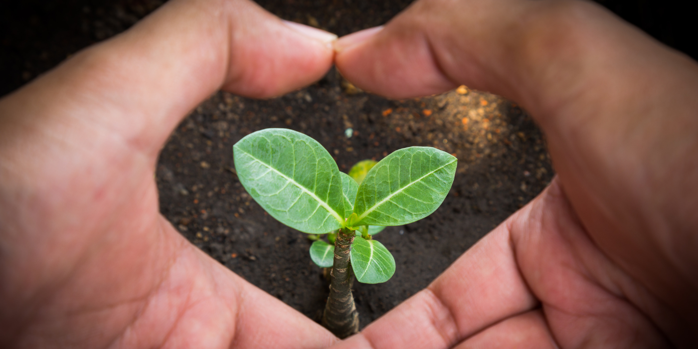 How an AI Tool Shines Light on Almost Extinct Plants