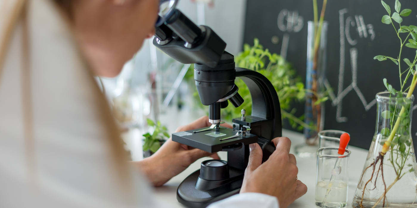 A Tiny Tree Frog is Making Waves for Flower Pollination
