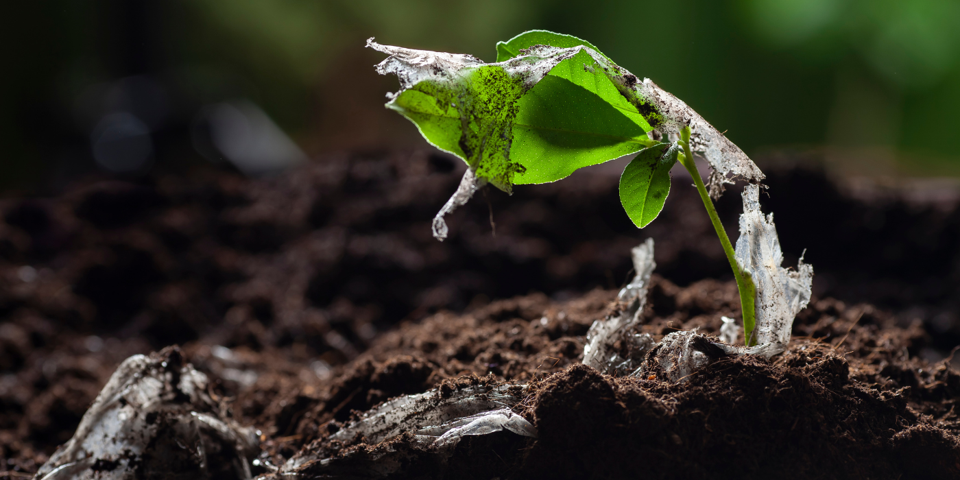 How Plastics Get Into Garden Soil