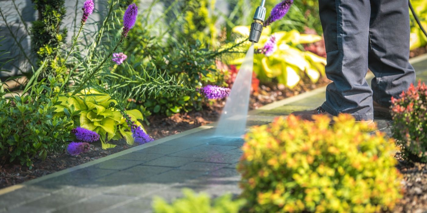 Tasks for a Beautiful Front Yard: Landscape Ideas, Tips, and More!