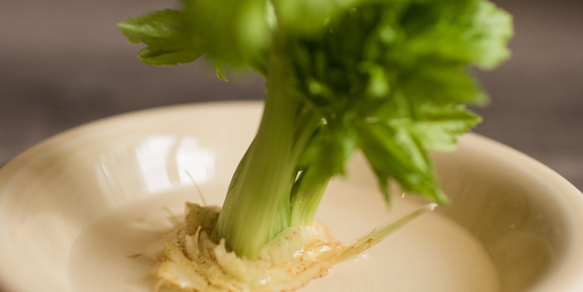 8 Easy to Grow Vegetables Using Scraps