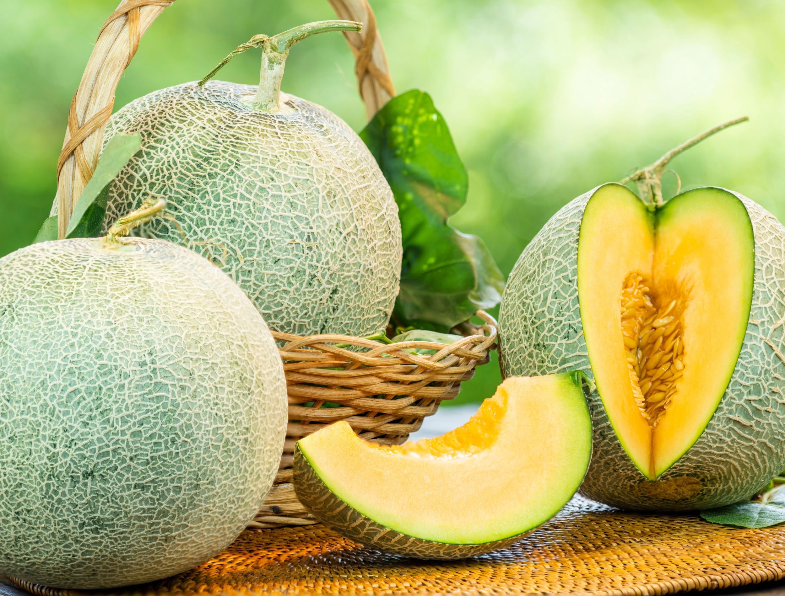 A Guide to Growing Nutrient-Rich Cantaloupe