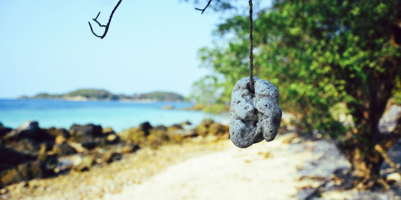 Six Fun, Budget-Friendly, and Educational Nature Activities for Kids