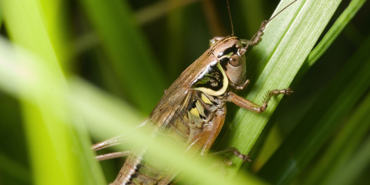 6 Signs From Nature That the Weather is About to Change