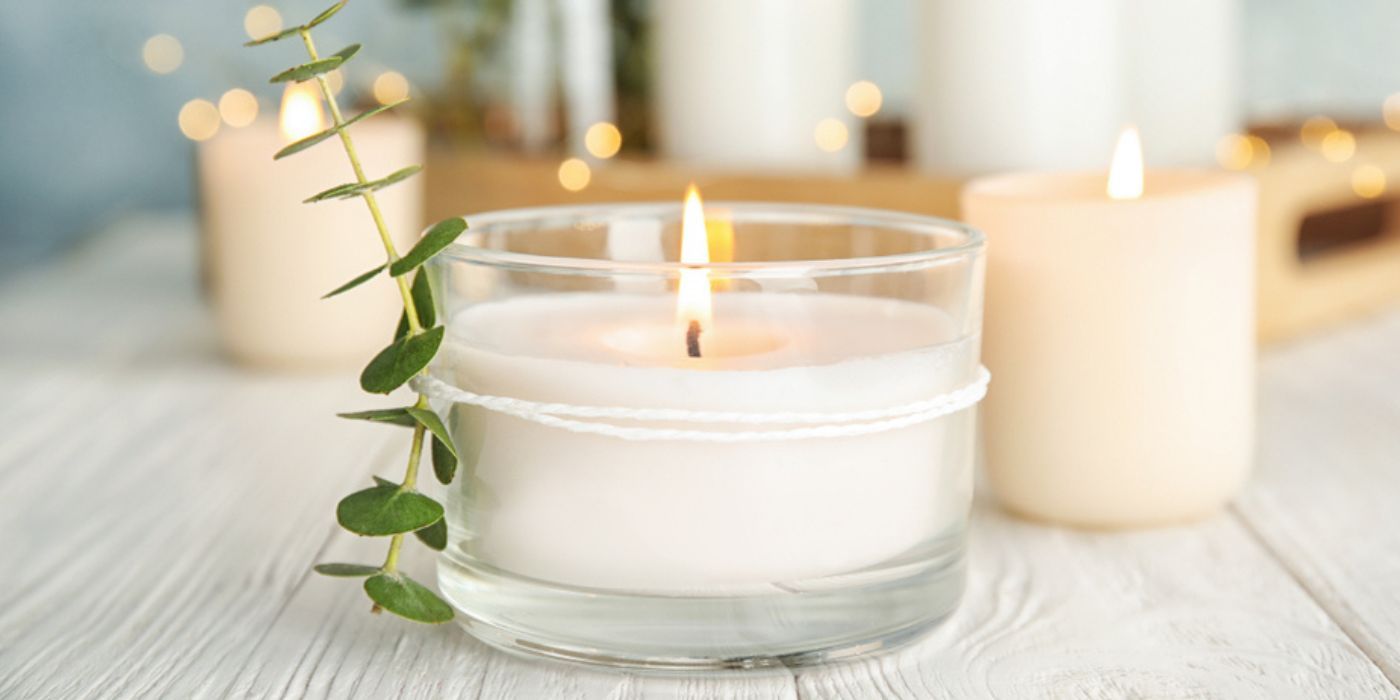 6 Household Items Produced From Plants