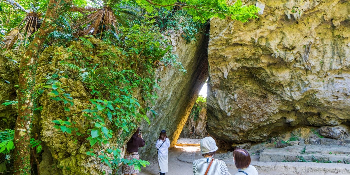 Tips for Cultivating Your Personal Sacred Grove