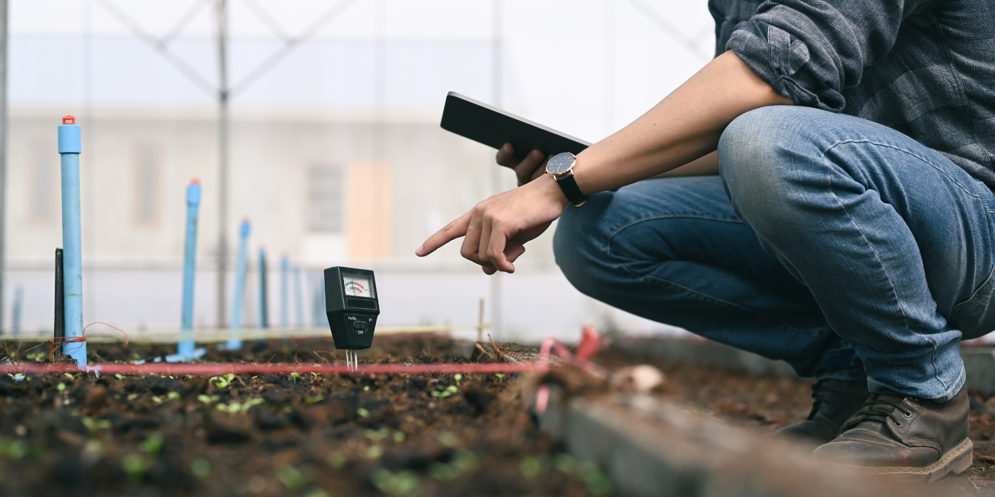 The Gardener's Guide to Soil Testing