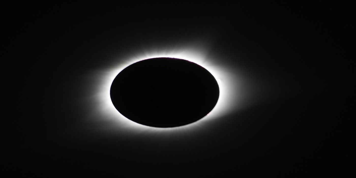 Gardening Through the Solar Eclipse