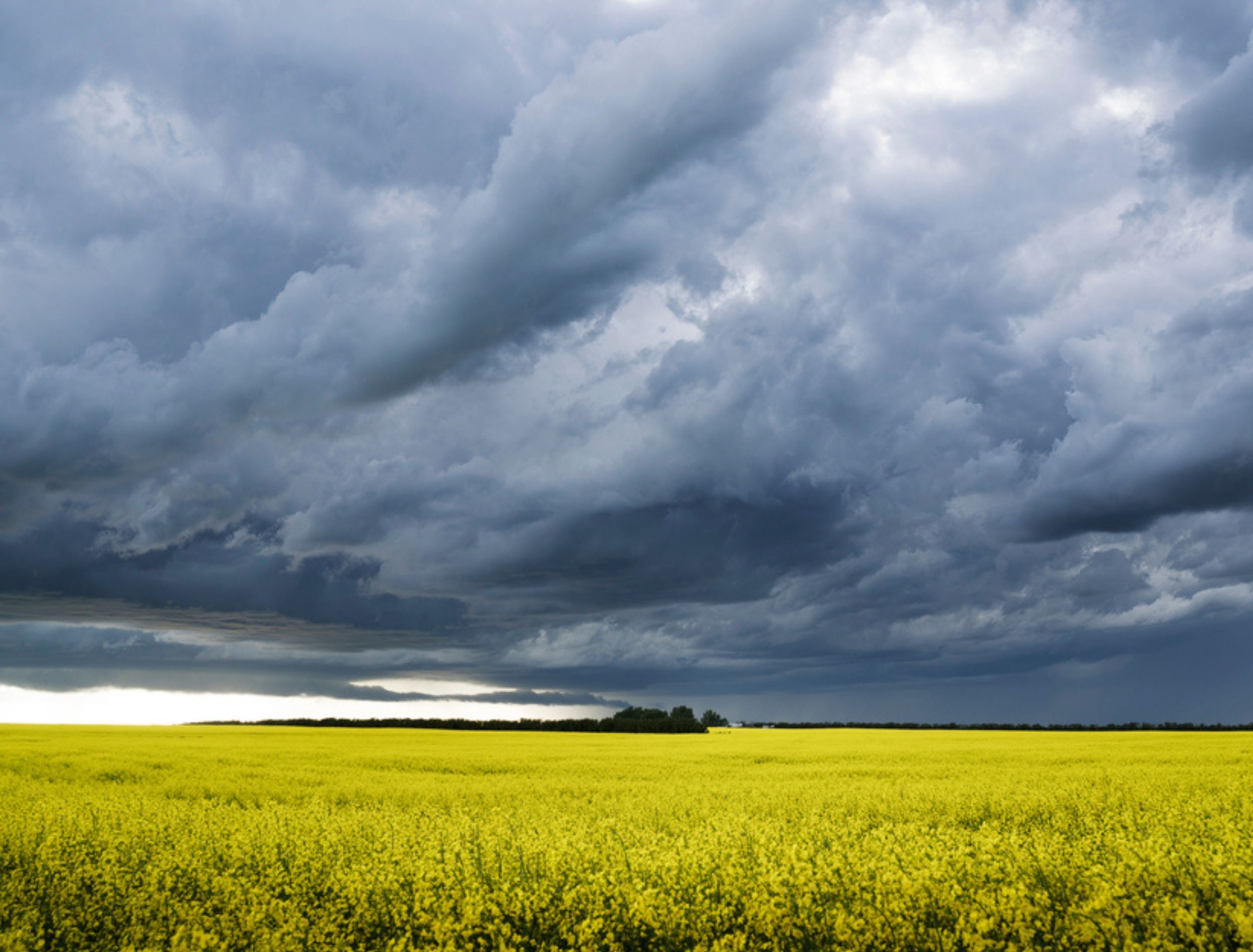 6 Signs From Nature That the Weather is About to Change