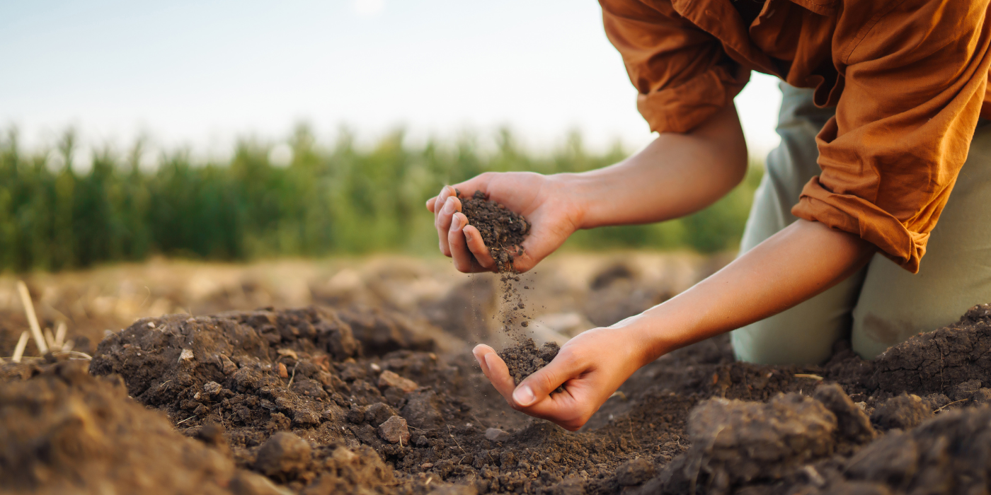 Is Poor Soil Structure Affecting Your Garden?