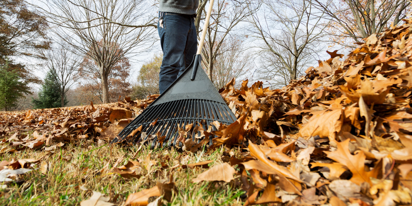 Spring Lawn Care Mistakes to Avoid When Raking