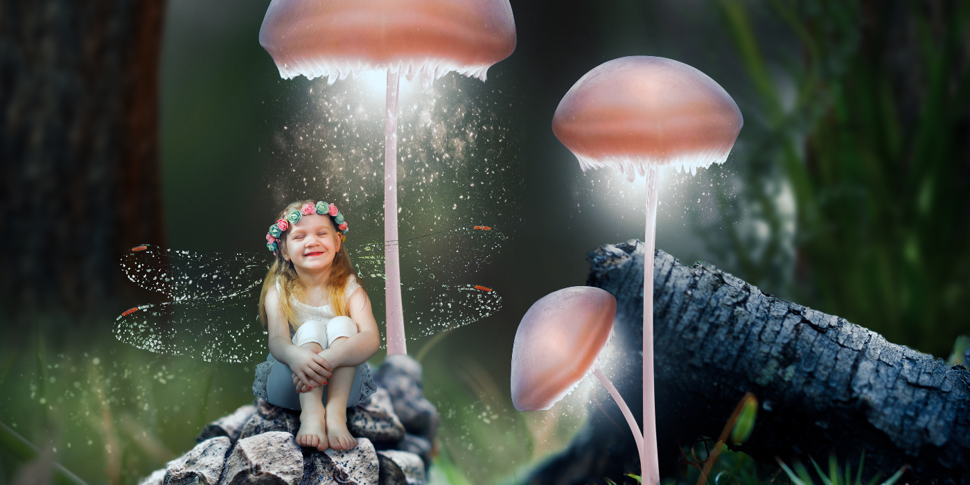 How and Why Mushrooms Form Fairy Circles