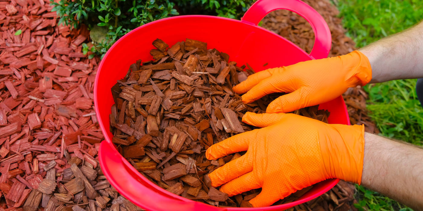 Red Mulch: How It Benefits Your Garden or Landscape