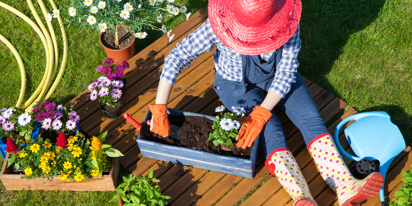 How to Grow in Containers on a Limited Budget