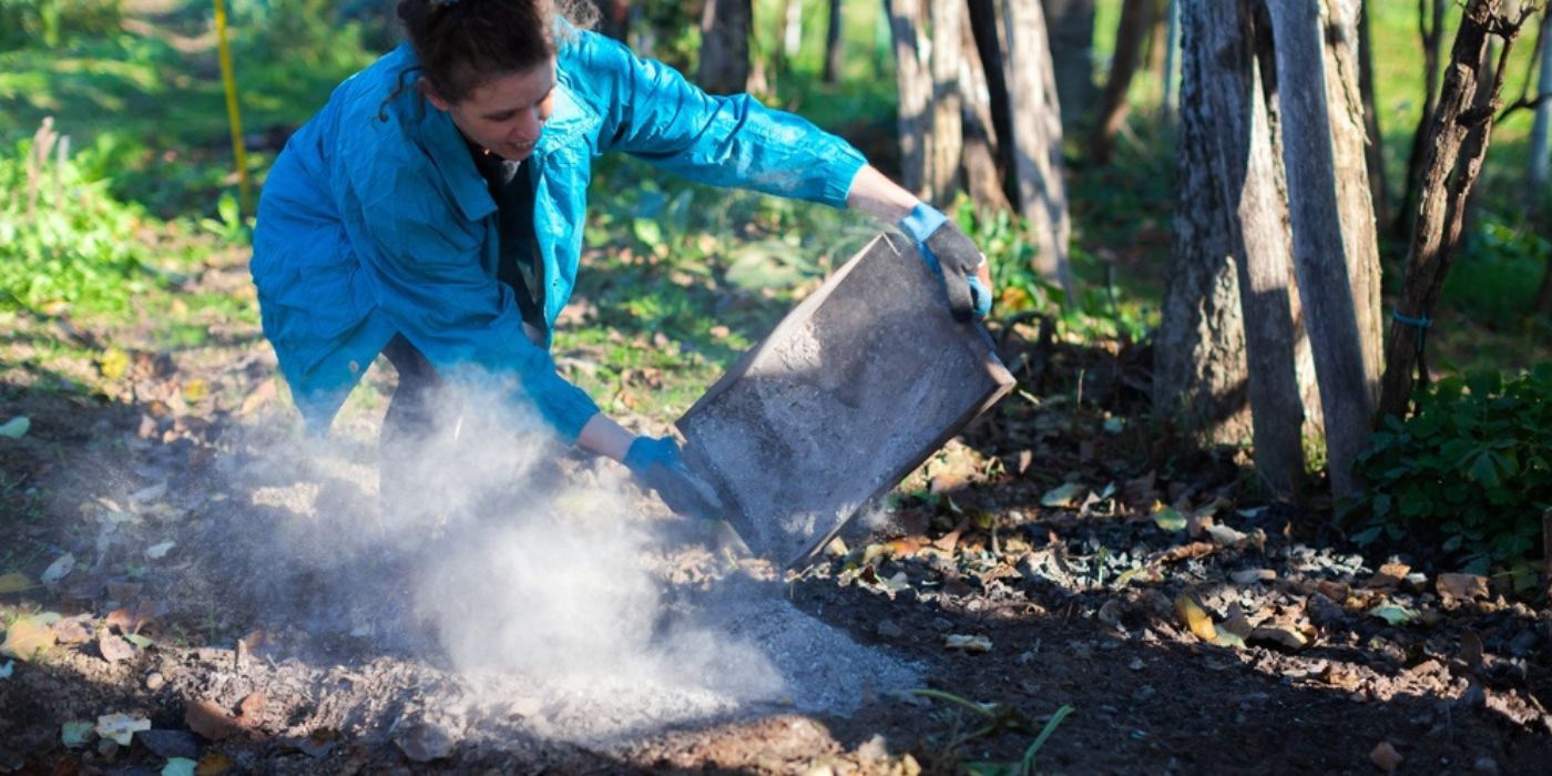 5 Weird but Effective Things to Add to Your Garden Soil