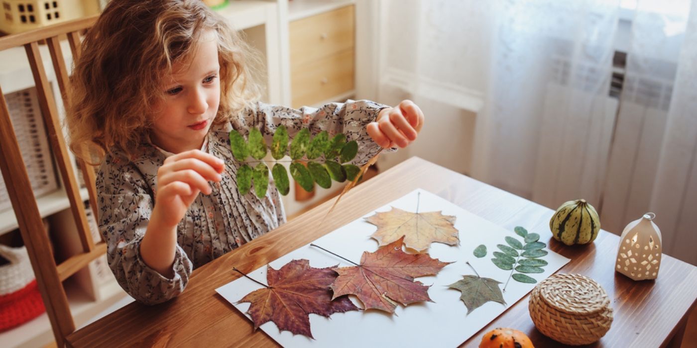 Six Fun, Budget-Friendly, and Educational Nature Activities for Kids