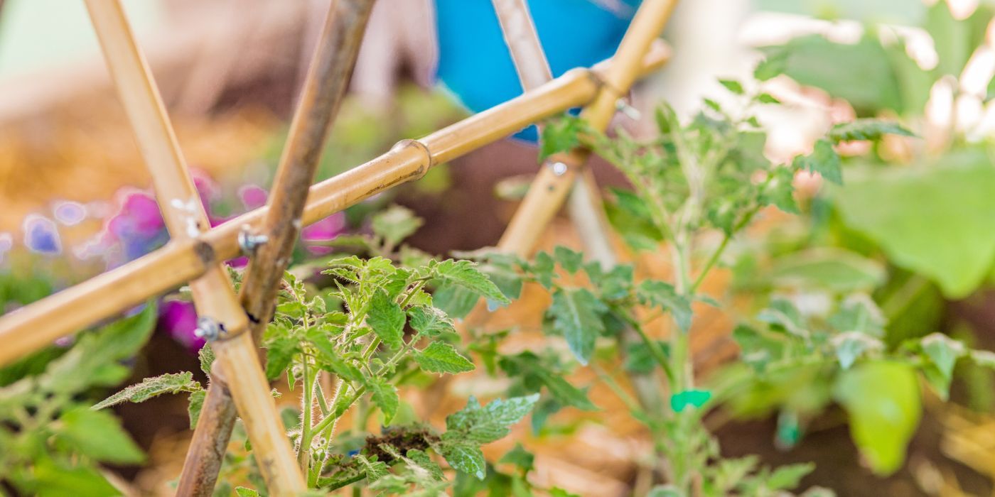 Garden Design Ideas: X4 Ways to Beautify Plant Supports