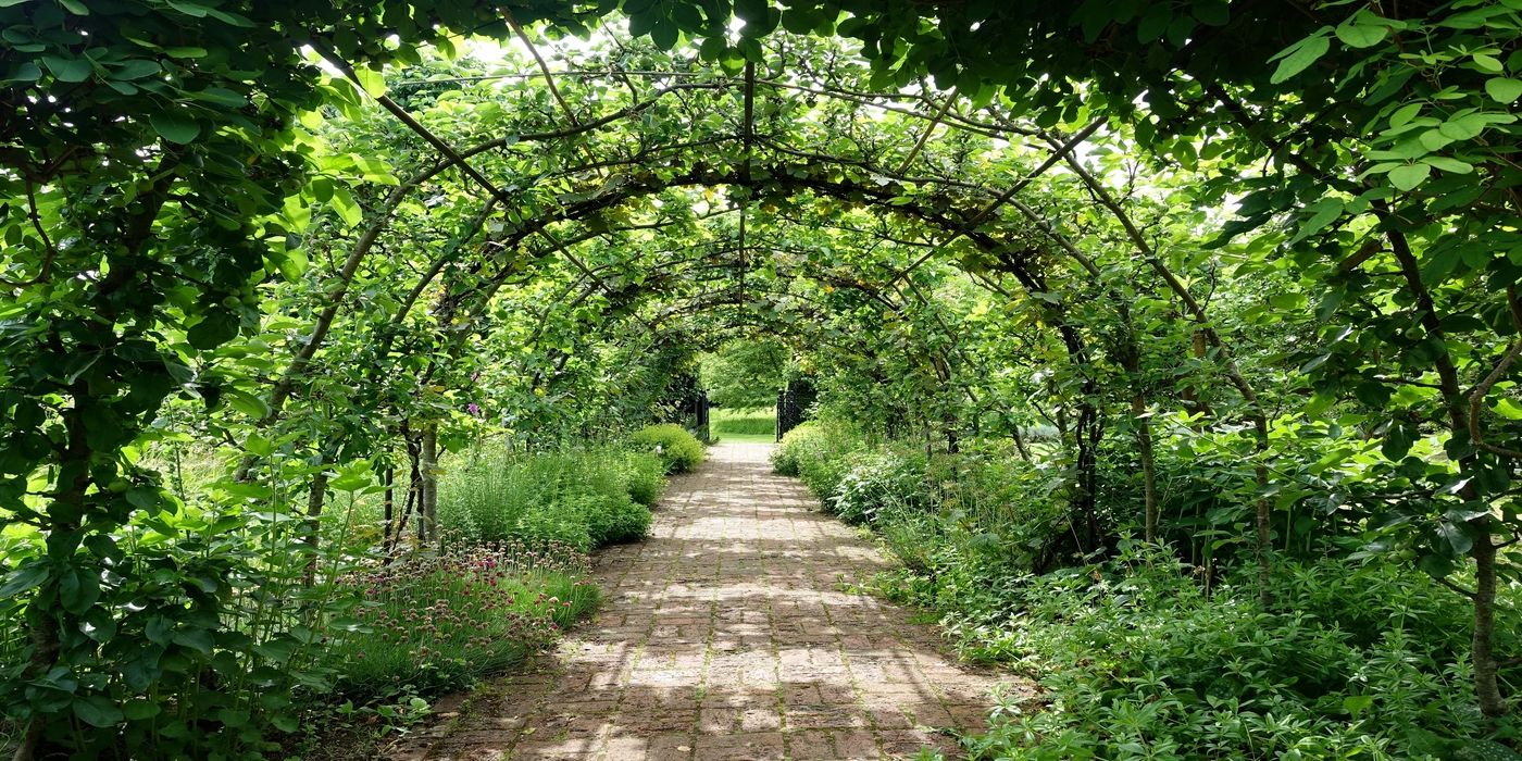 Transform Your Garden with Stunning Portal Ideas