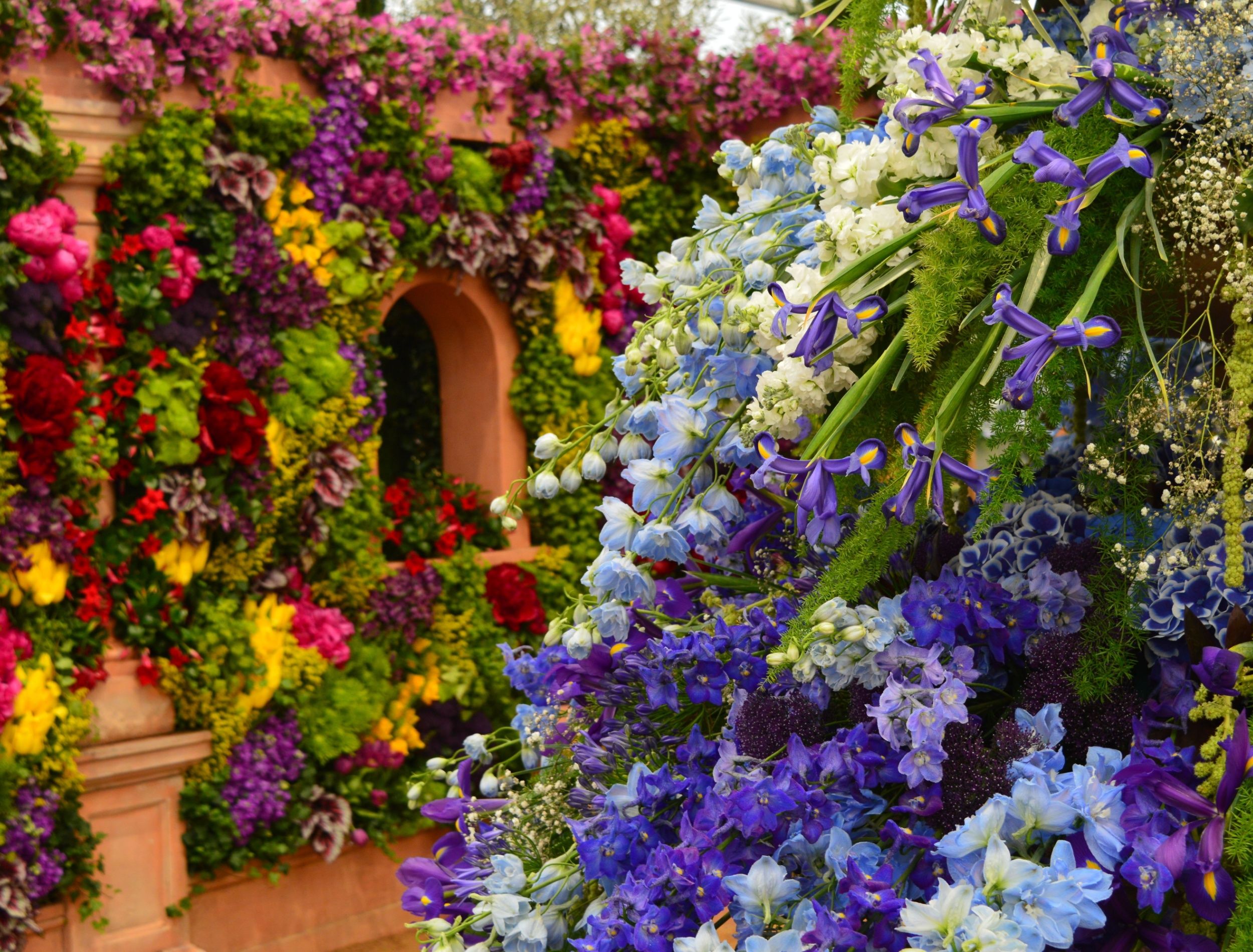 6 Flowers at the Chelsea Flower Show in London