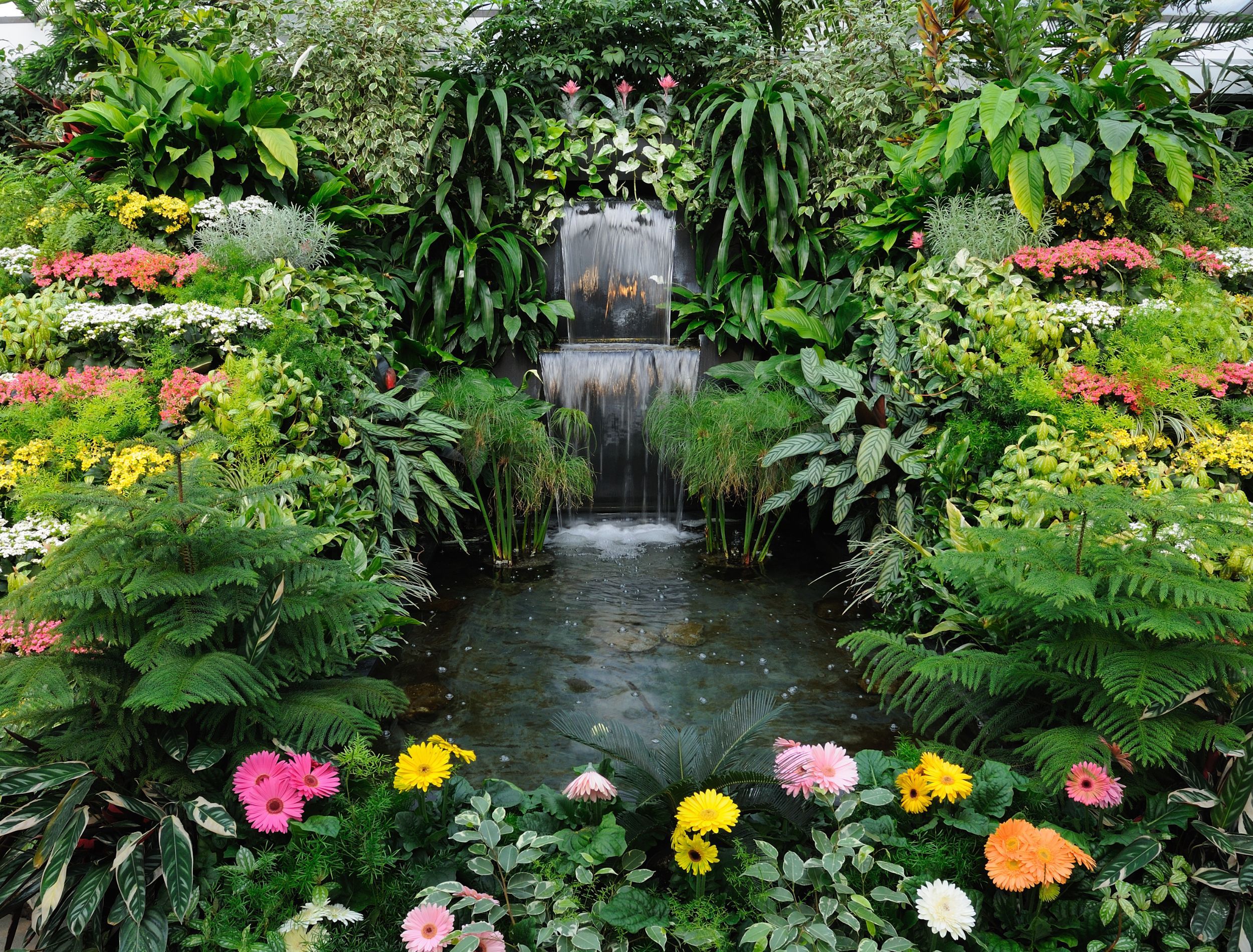 What Is the Best Temperature for Houseplants?