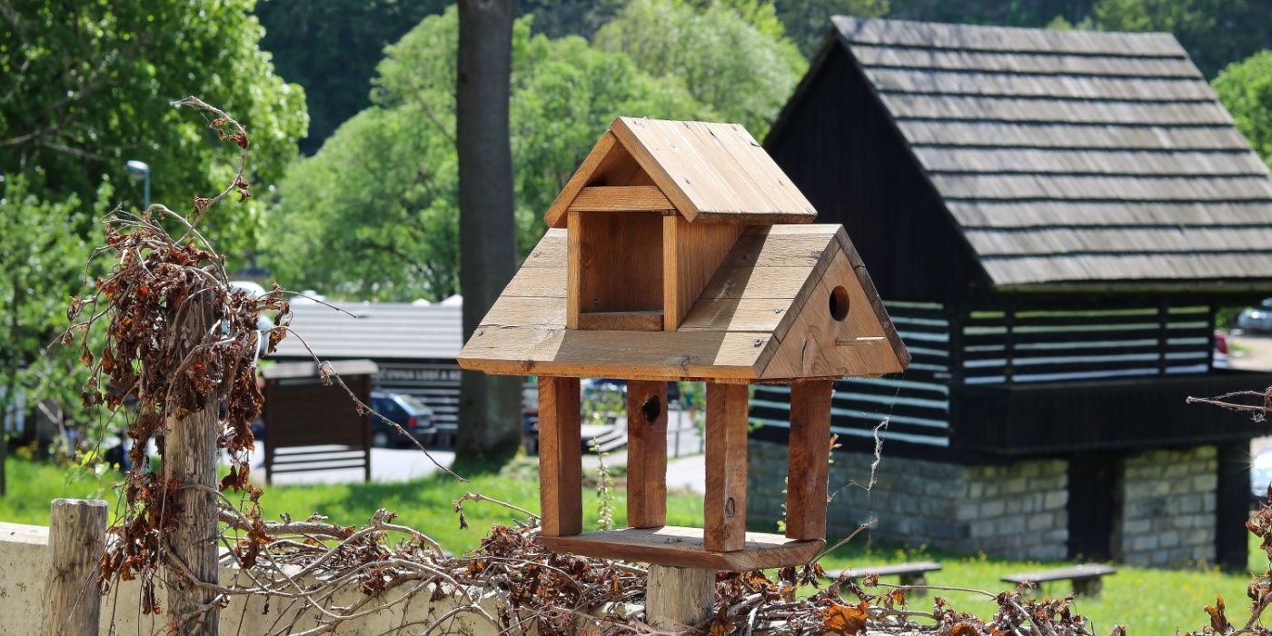 Crafting a Stunning Backyard with Fence Decor