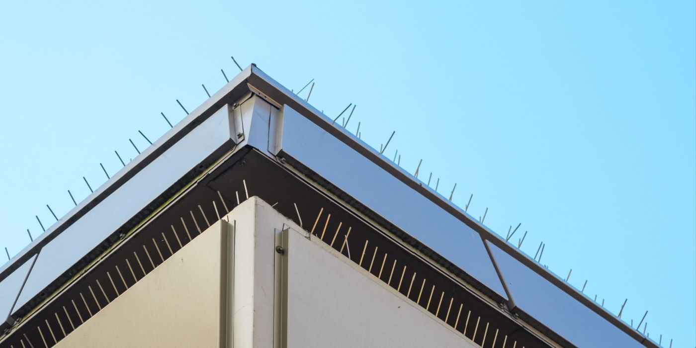 7 Effective Methods to Keep Birds Off Your Roof