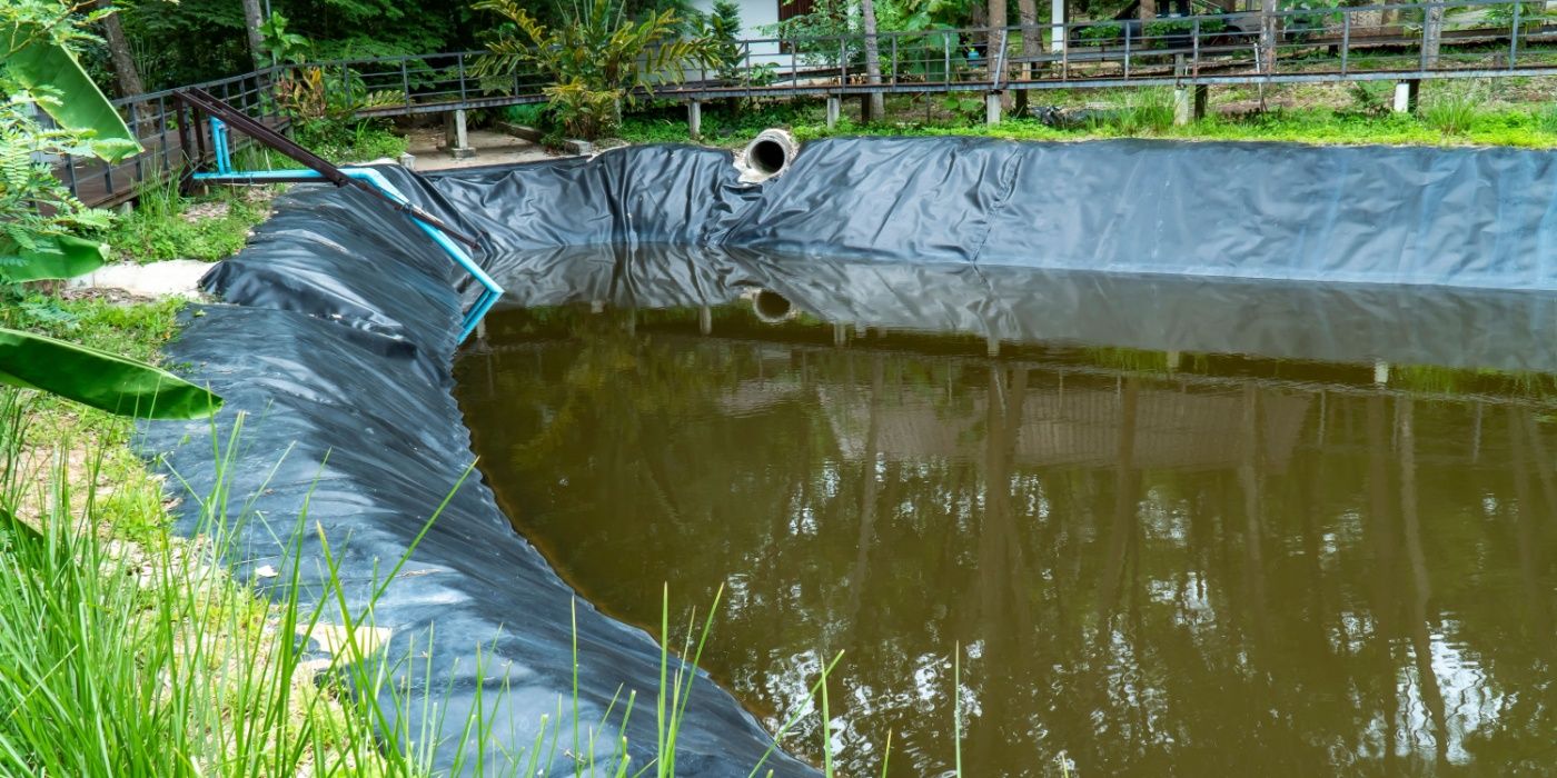 7 Must-Do Pond Maintenance Tasks for Spring