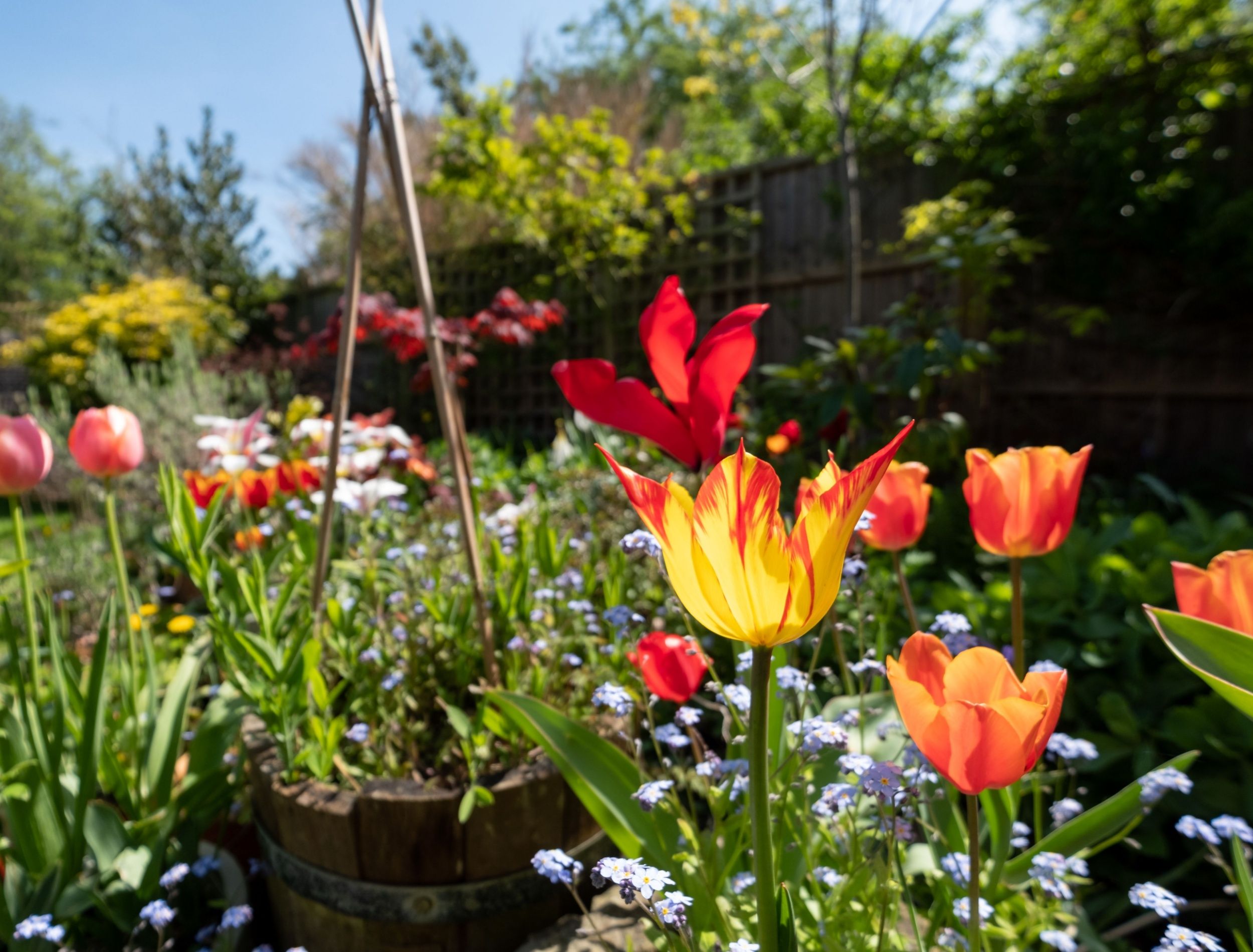 Embrace Rustic Elegance with Wabi Sabi Design