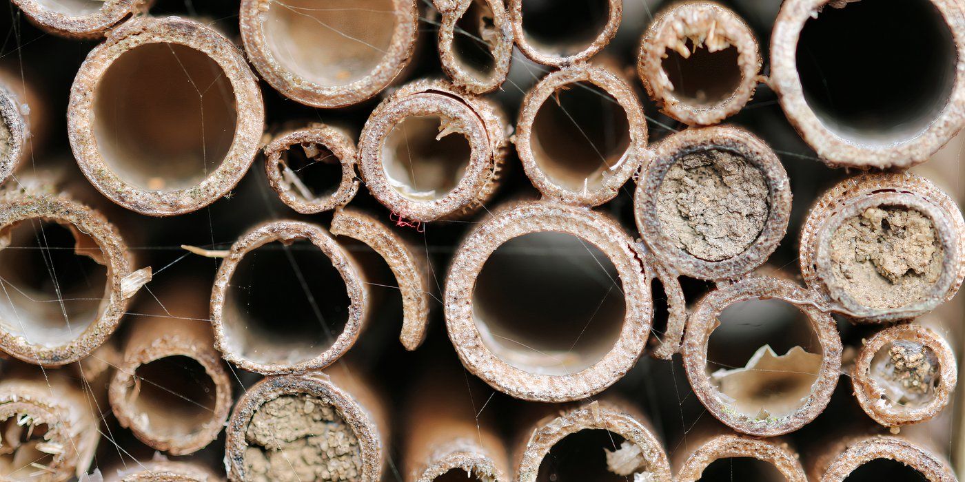 Create a Bug Hotel to Draw Helpful Garden Insects