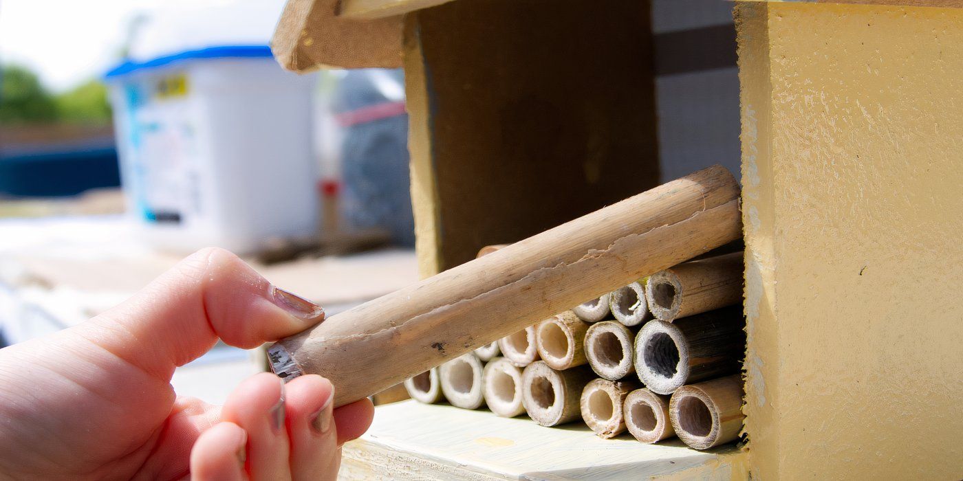 Create a Bug Hotel to Draw Helpful Garden Insects