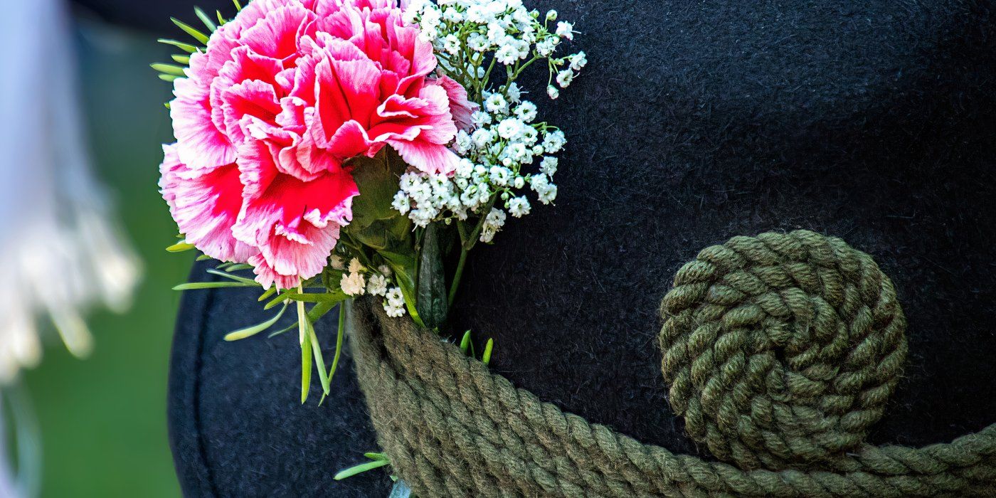 Carnations: Why These Garden Flowers Aren't Hugely Popular