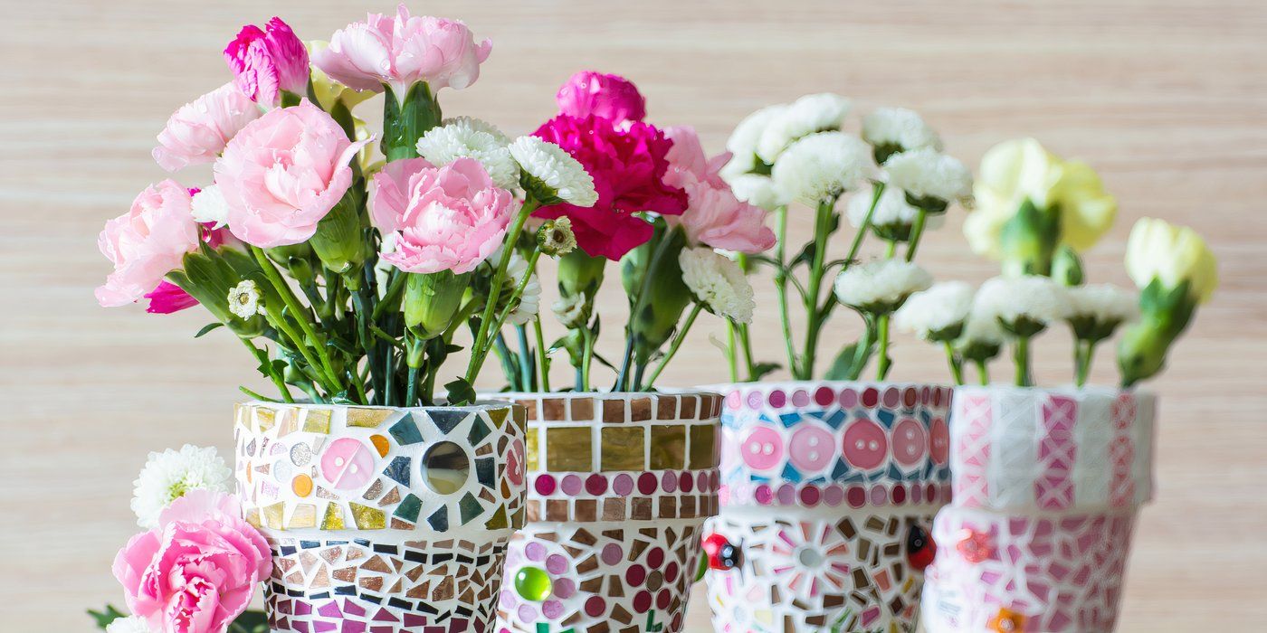 Plant Varying Carnation Flower Colors to Create a Vibrant Garden