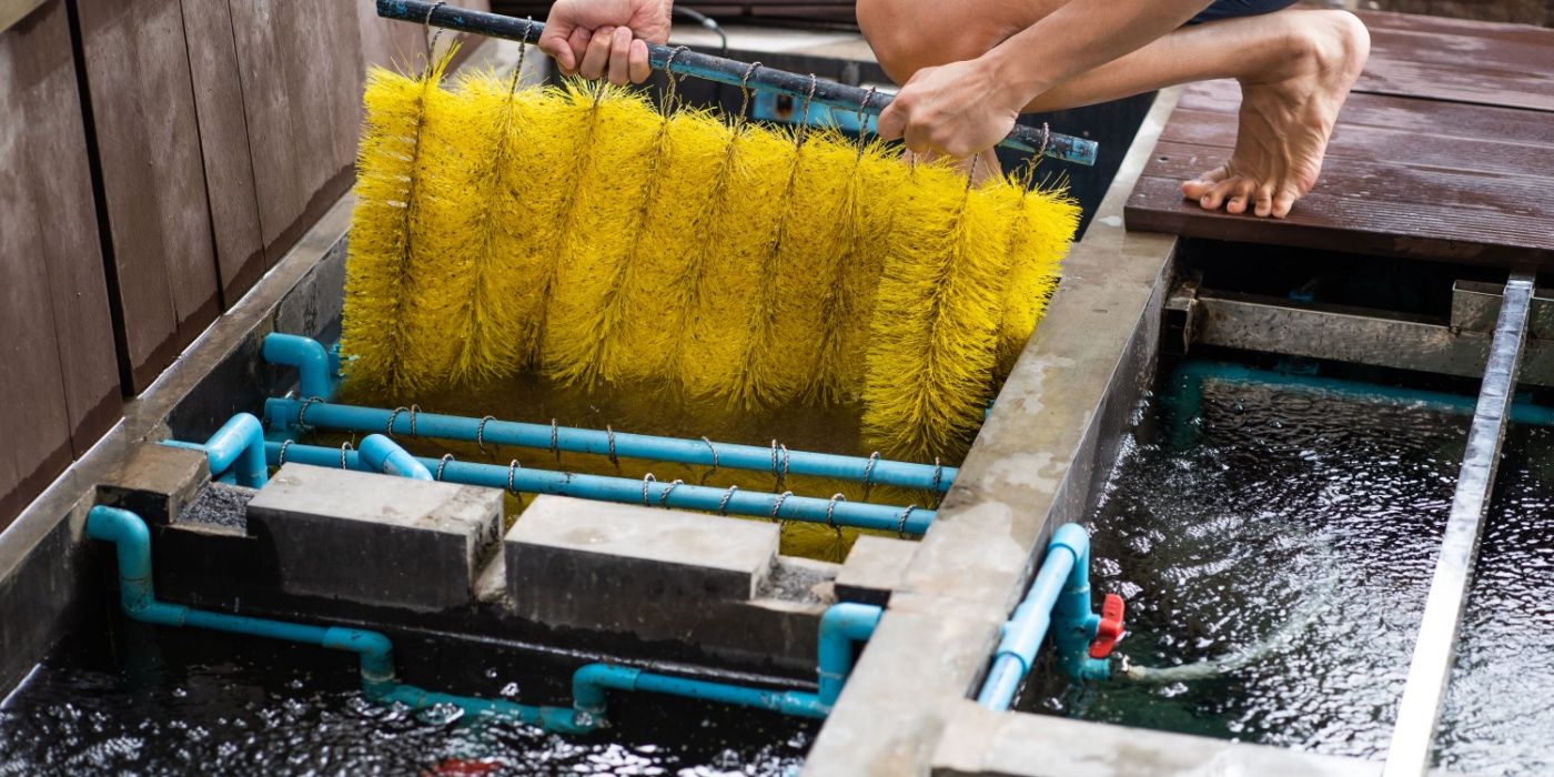 7 Must-Do Pond Maintenance Tasks for Spring