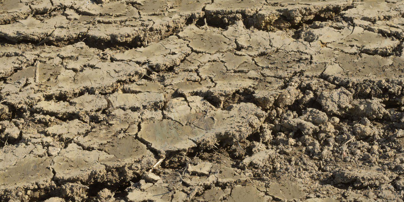 Why Soil Decompaction is Crucial This Summer