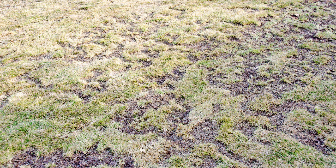 Frost Heave: How To Prevent It and Improve Your Lawn Care Routine