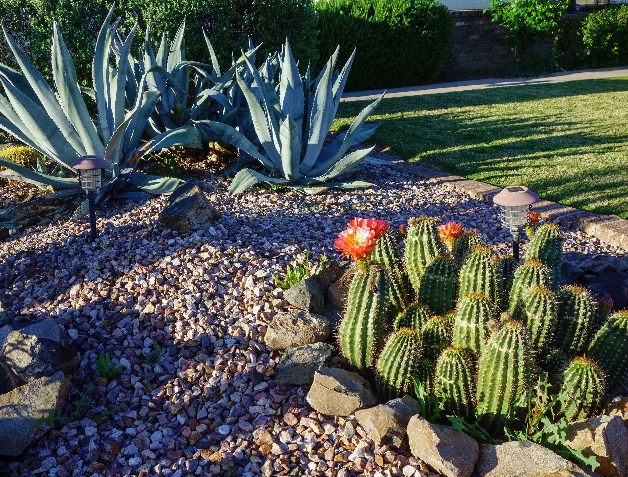 Creative Ways to Use Gravel in Landscaping