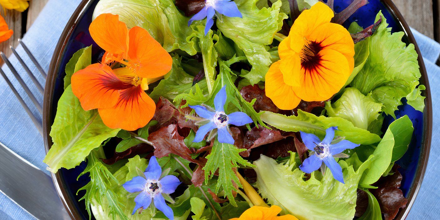 Edible Flower Arrangements: Add Edible Flowers To Your Garden