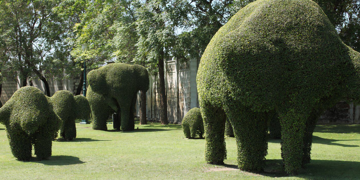 Shaping Shrubs and Bushes: Create a Stunning Landscape Design