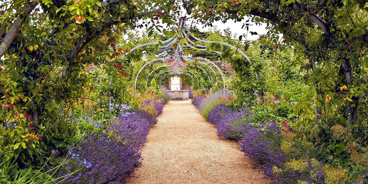 Top Plants and Flowers for a Romantic Garden