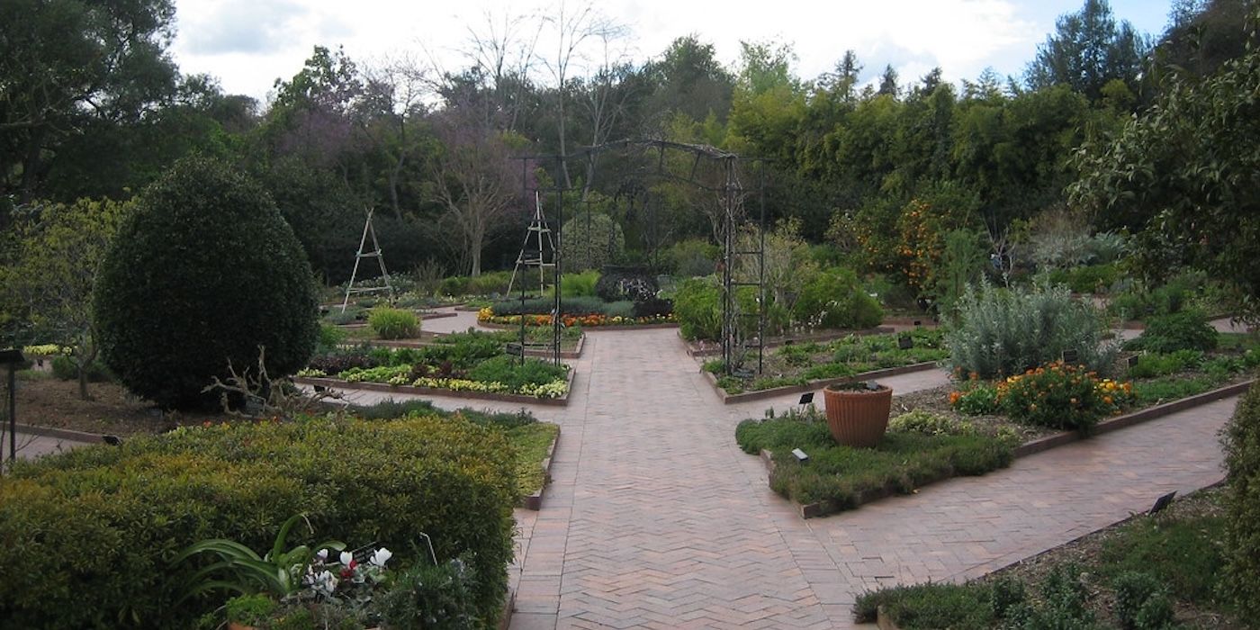 Mastering Garden Layout: Strategic Plant Placement Tips