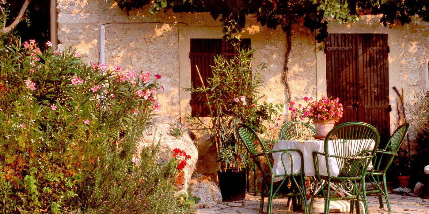 Create a Stunning French Counry Garden in your Backyard