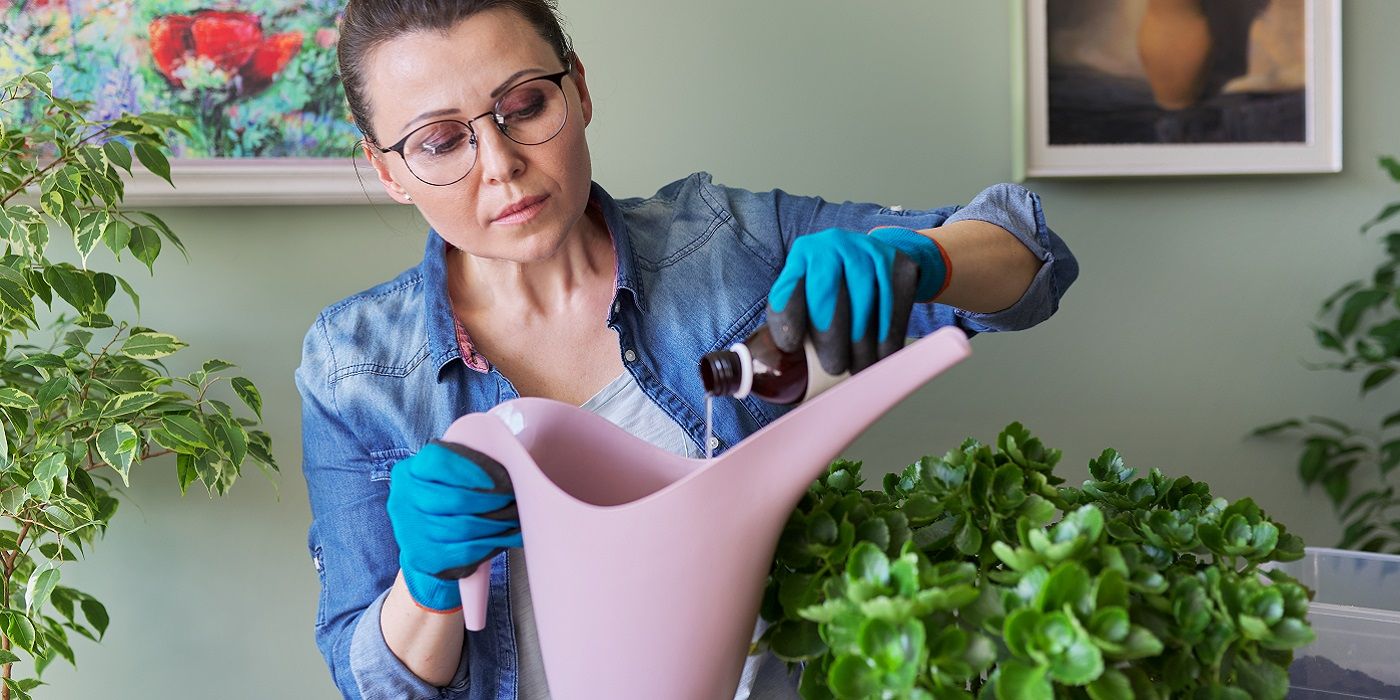 11 Reasons Why Hydrogen Peroxide For Plants is a Must
